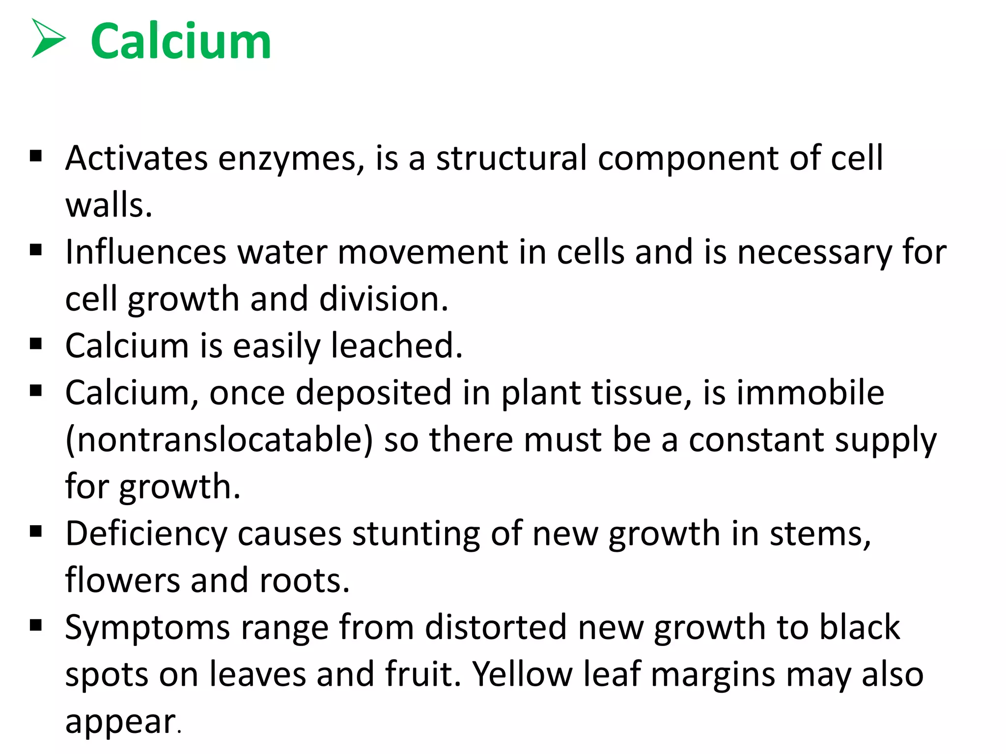 Plant physiology | PPT