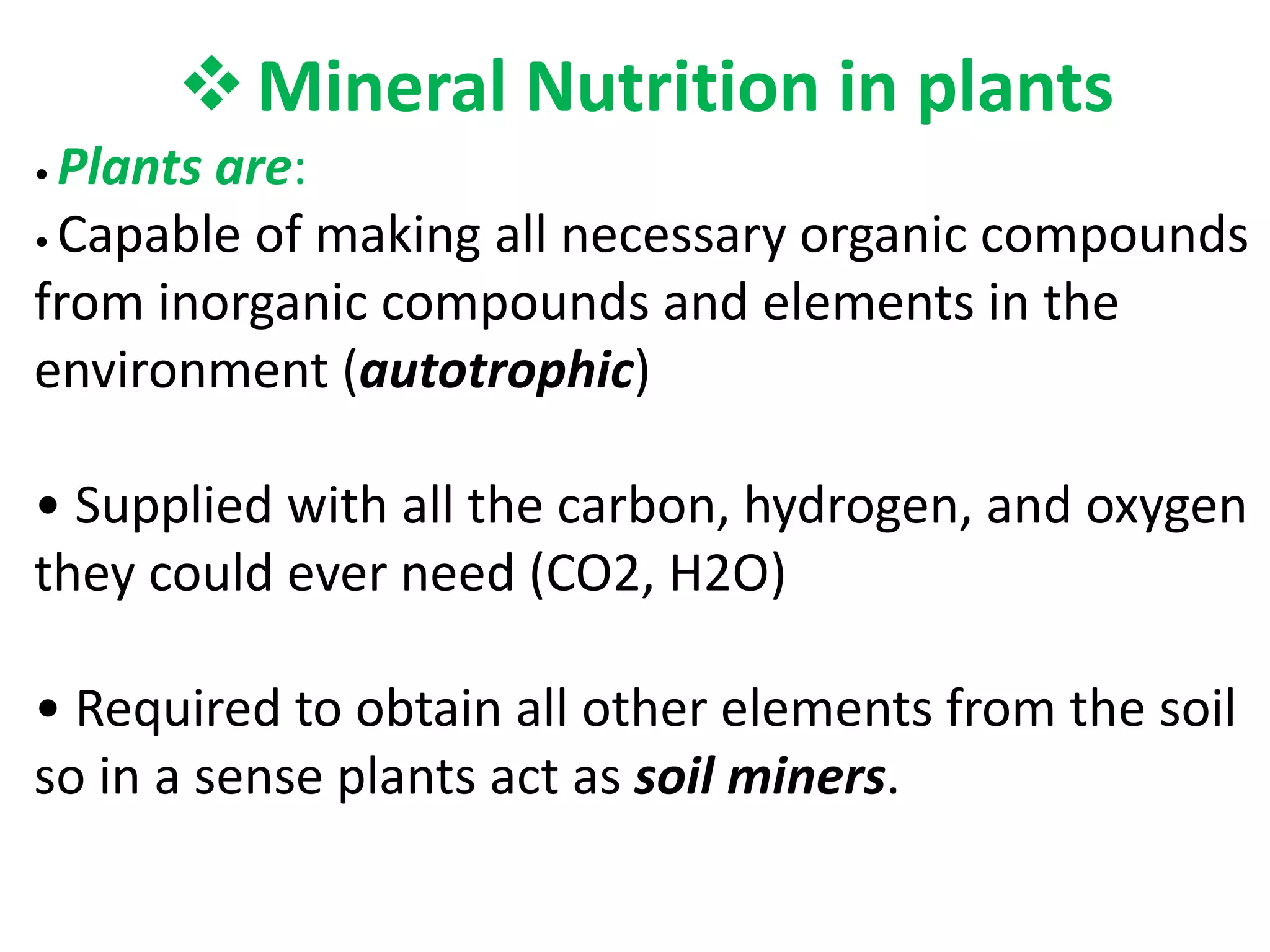 Plant physiology | PPT