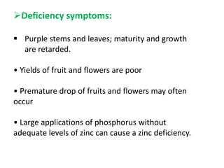 Plant physiology | PPT