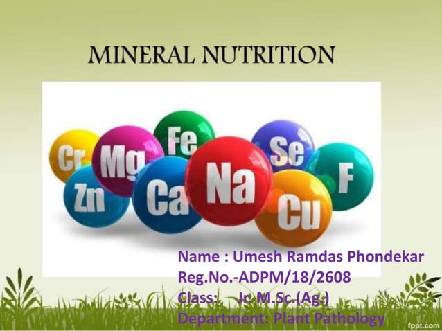 Plant physiology | PPT