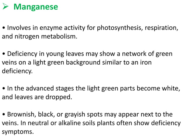 Plant physiology | PPT