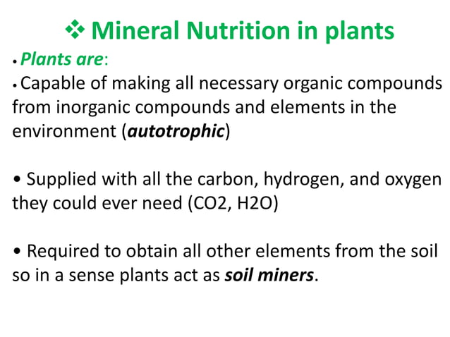 Plant physiology | PPT