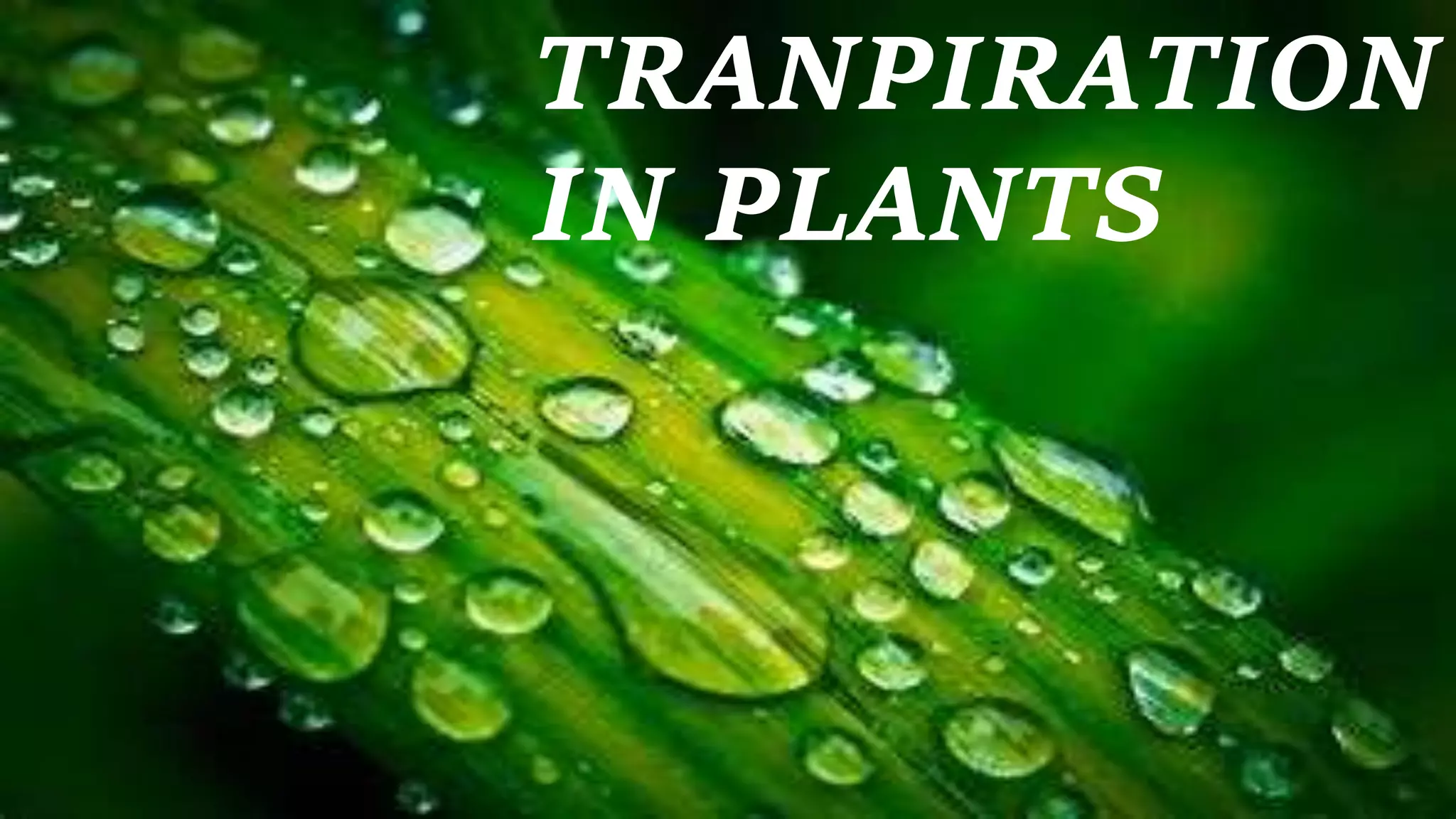 MECHANISM OF TRANSPIRATION IN PLANTS [THEORIES] | PPTX
