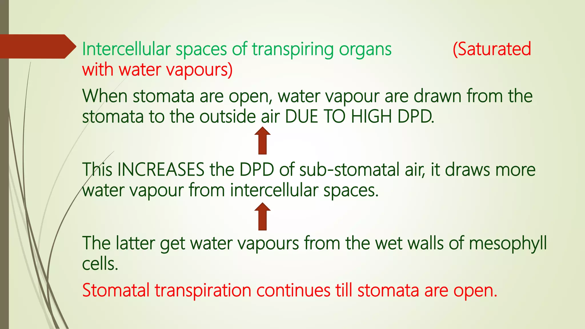 MECHANISM OF TRANSPIRATION IN PLANTS [THEORIES] | PPTX