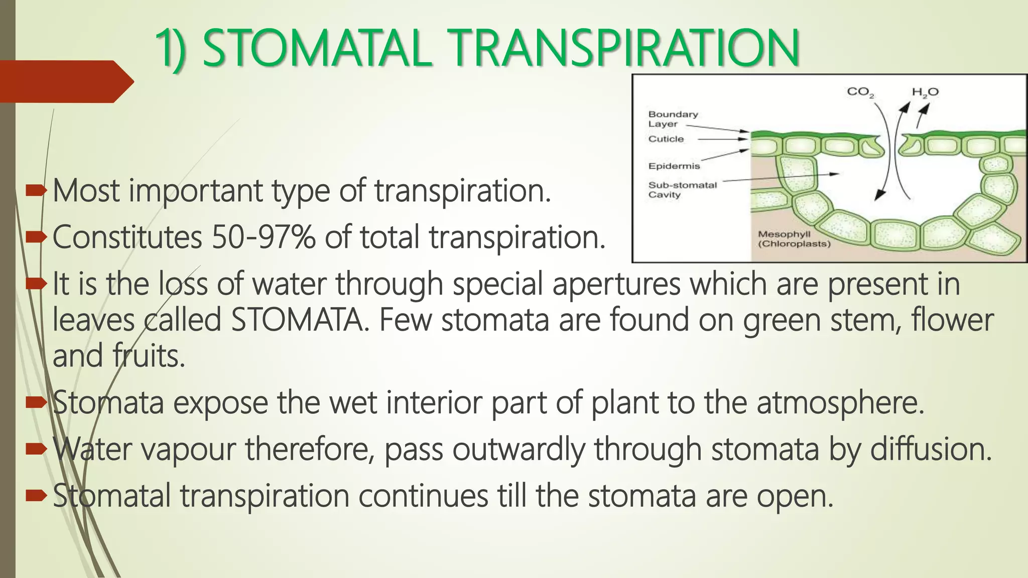 MECHANISM OF TRANSPIRATION IN PLANTS [THEORIES] | PPTX