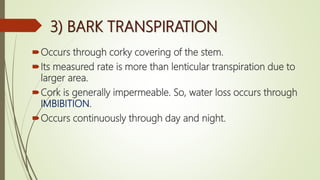 MECHANISM OF TRANSPIRATION IN PLANTS [THEORIES] | PPTX