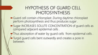 MECHANISM OF TRANSPIRATION IN PLANTS [THEORIES] | PPTX