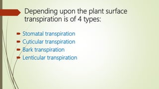 MECHANISM OF TRANSPIRATION IN PLANTS [THEORIES] | PPTX