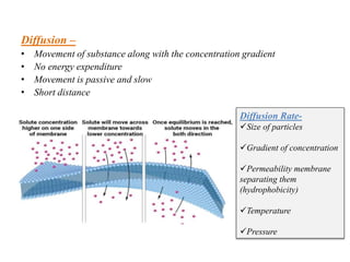 Transport in plant (Plant physiology) | PPTX