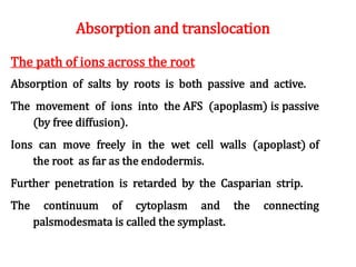 Plant Physiology.pptx The continuum of cytoplasm and the connecting ...