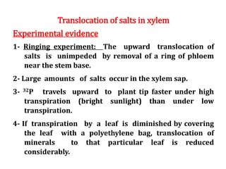Plant Physiology.pptx The continuum of cytoplasm and the connecting ...
