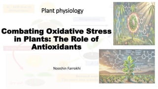 Plant physiology. Combating Oxidative Stress in Plants: The Role of ...