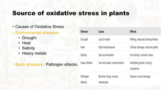 Plant physiology. Combating Oxidative Stress in Plants: The Role of ...