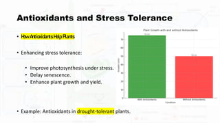Plant physiology. Combating Oxidative Stress in Plants: The Role of ...