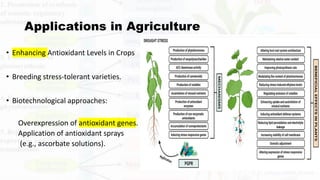 Plant physiology. Combating Oxidative Stress in Plants: The Role of ...