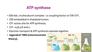 History of Photosynthesis &Photosynthetic apparatus | PPT