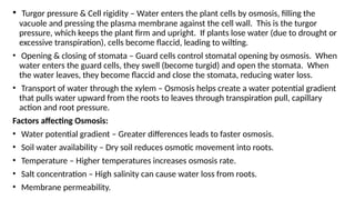 Plant Physiology gluconeogenesis and its cycle | PPTX