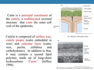 Secondary metabolites in plant defense | PPT