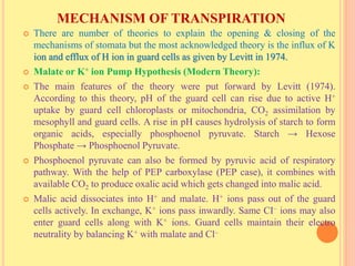 Transpiratrion: Types, mechanism, factors & significance | PDF