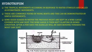 PLANT PHYSIOLOGY 3RD ICA PRESENTATION.pptx | Free Download