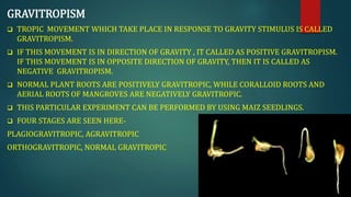 PLANT PHYSIOLOGY 3RD ICA PRESENTATION.pptx