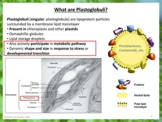 Plant physiology 4 july2017 | PPTX