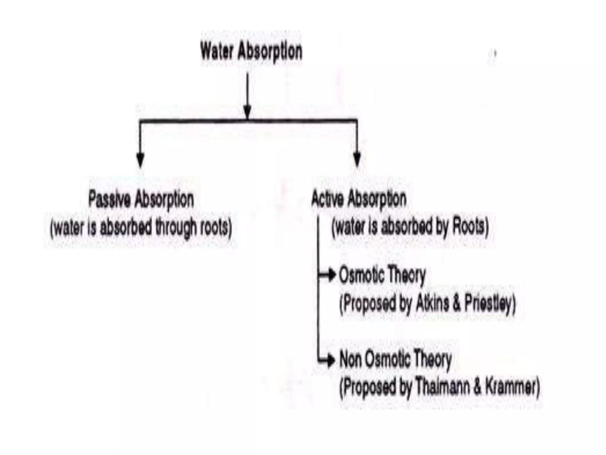Plant physiology and Bichemistry | PPTX