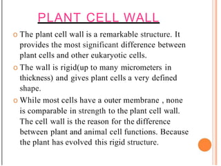 Cell wall of plants .pptx