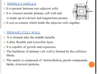Cell wall of plants .pptx