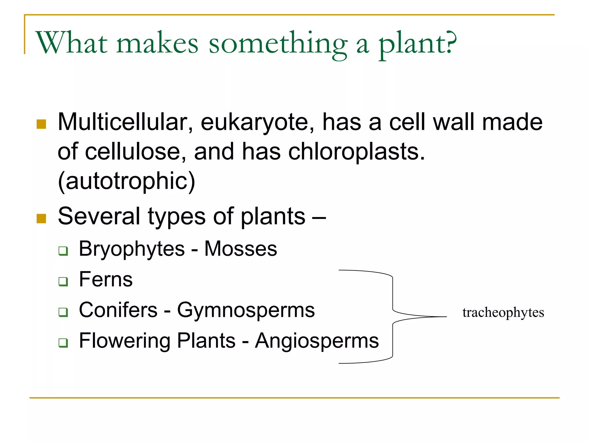 Plant Physiology in Brief.ppt