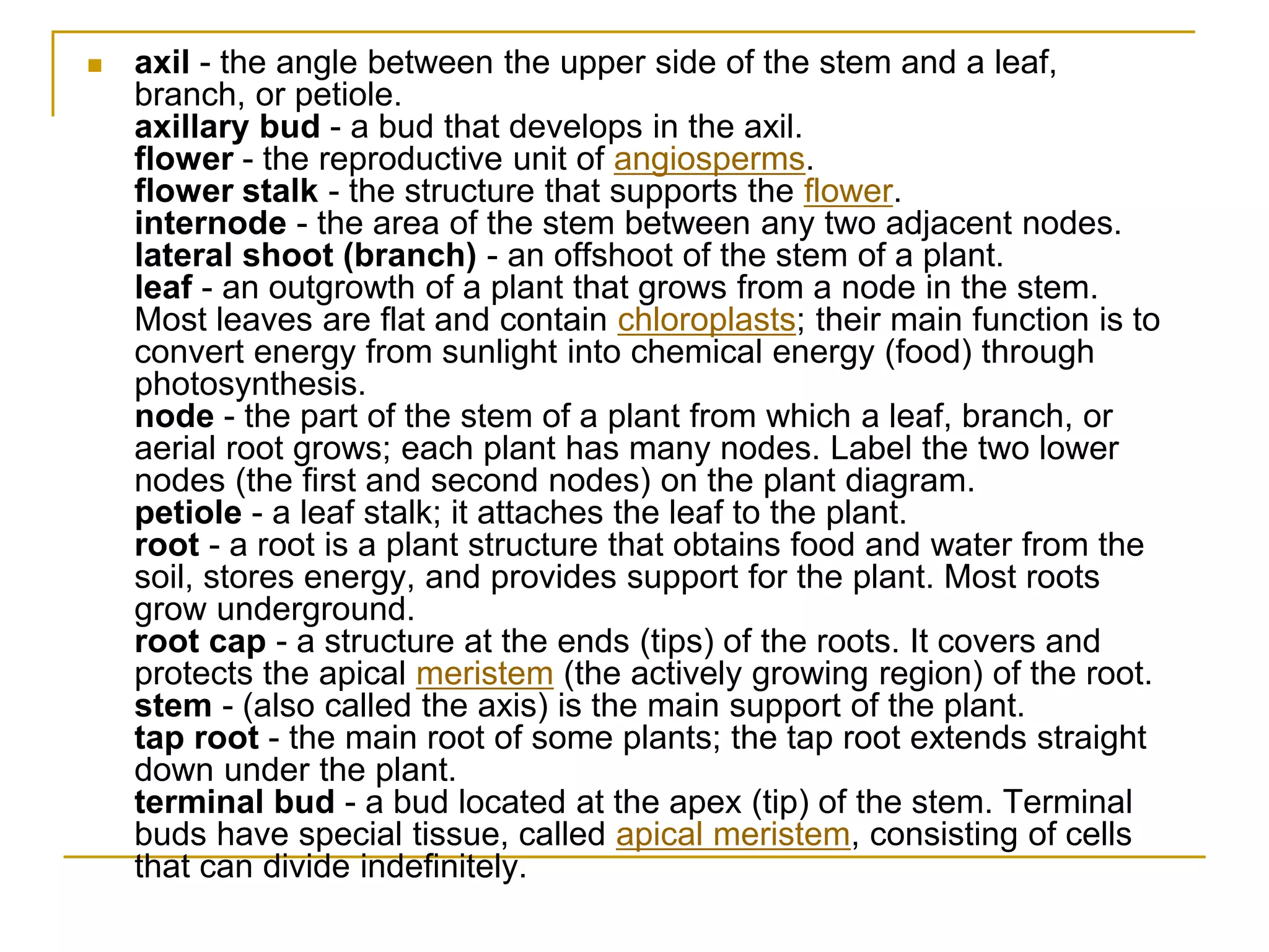 Plant Physiology in Brief.ppt