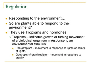 Plant Physiology in Brief.ppt