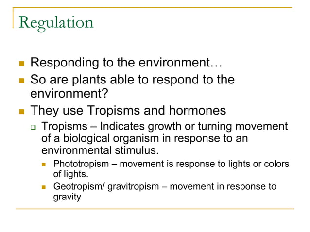 Plant Physiology in Brief.ppt