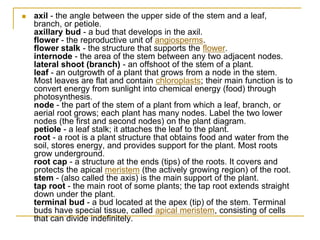 Plant Physiology in Brief.ppt
