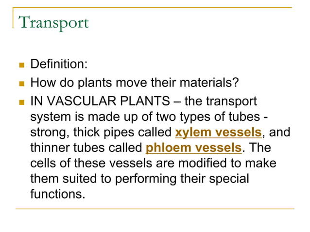 Plant Physiology in Brief.ppt