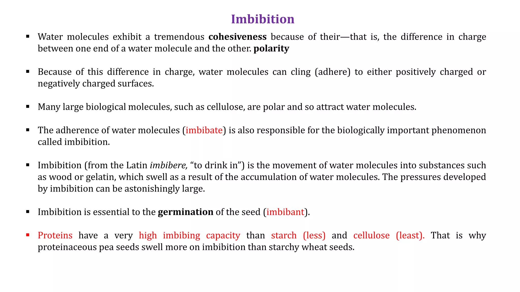 Plant physiology Lecture | PDF