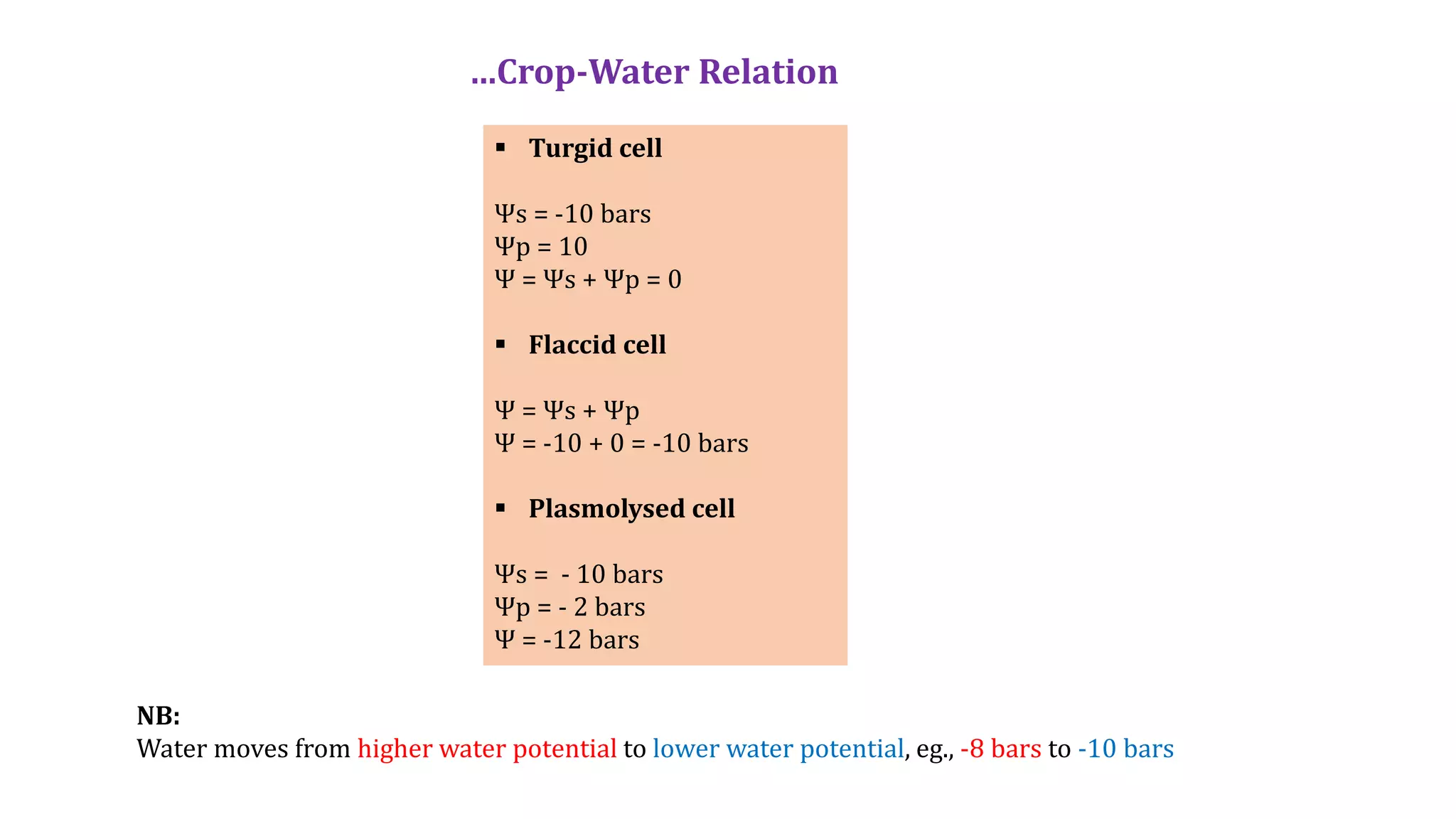 Plant physiology Lecture | PDF