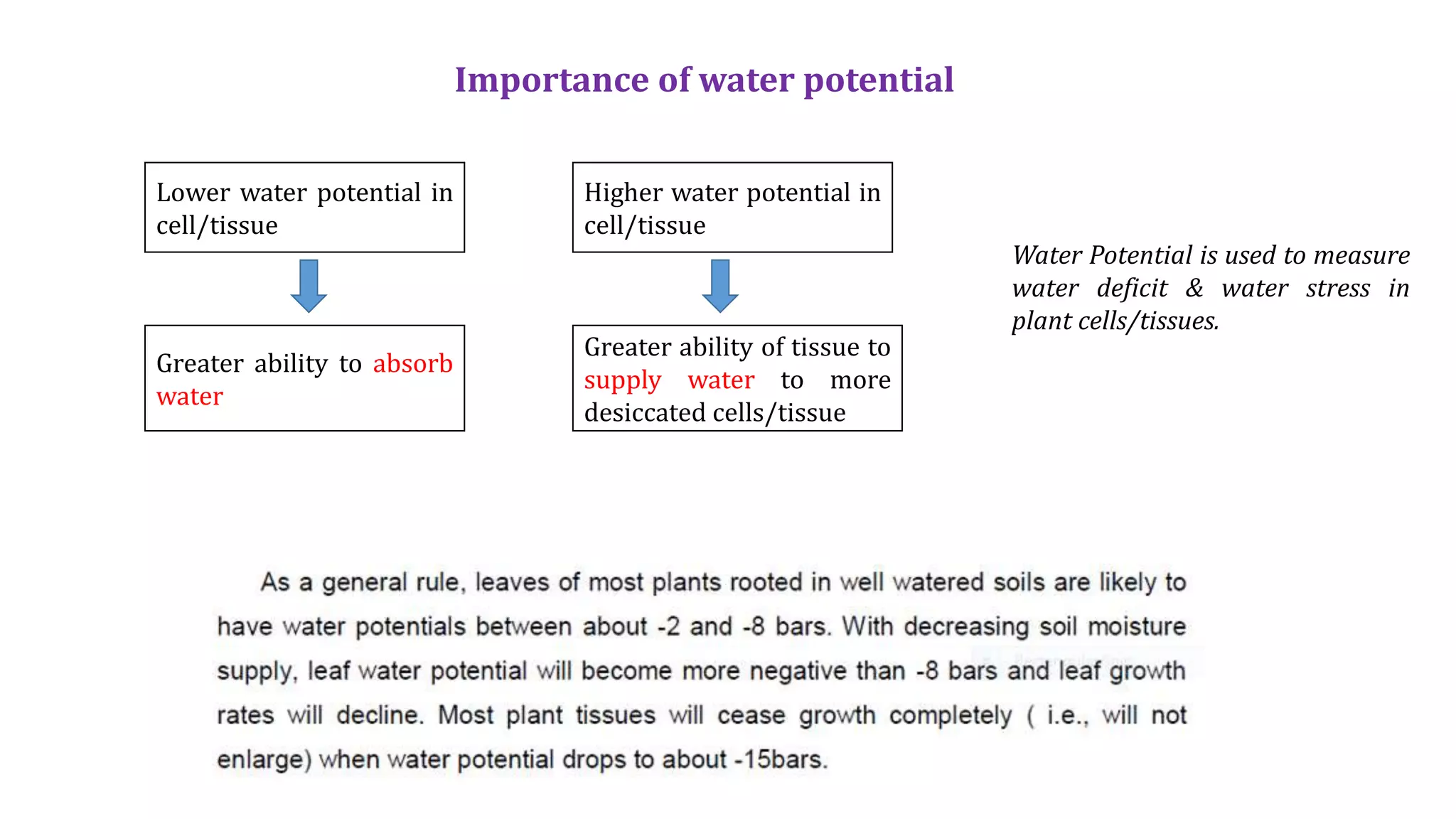 Plant physiology Lecture | PDF