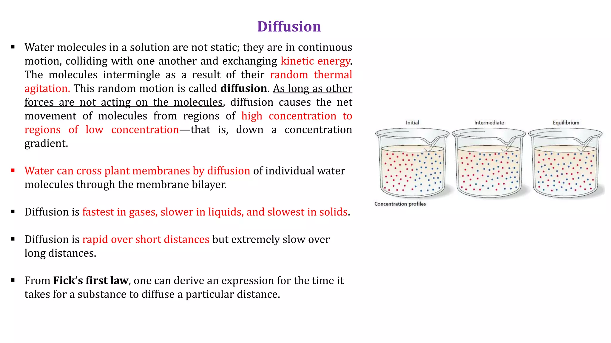 Plant physiology Lecture | PDF