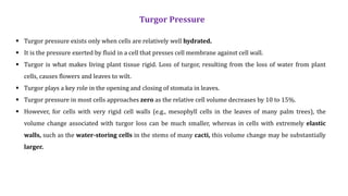 Plant physiology Lecture | PDF