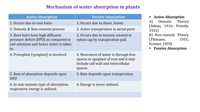 Plant physiology Lecture | PDF | Chemistry | Science