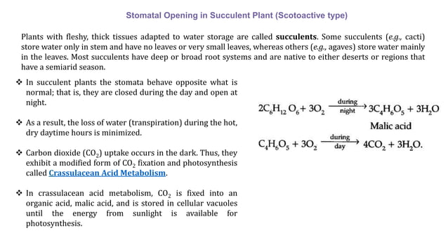 Plant physiology Lecture | PDF | Chemistry | Science