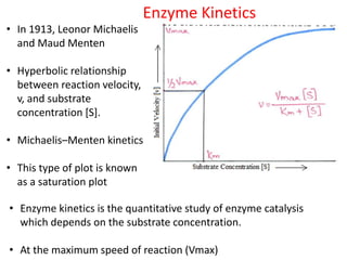 Plant physiology ppt 1.pptx