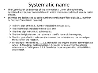 Plant physiology ppt 1.pptx