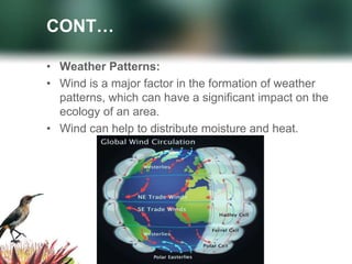 Wind as an Ecological Factor Presentation | PPTX