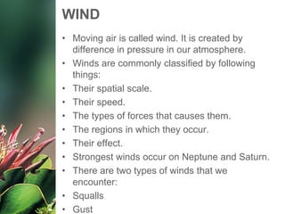 Wind as an Ecological Factor Presentation | PPT
