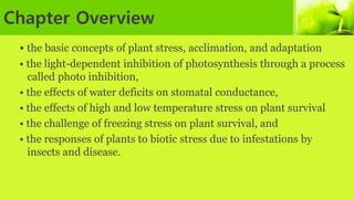 Plant physiology report [autosaved] | PPTX