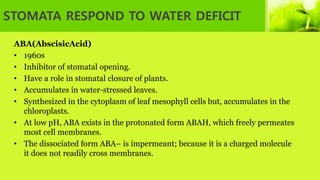 Plant physiology report [autosaved] | PPTX