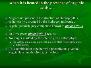 Plant pigments | PPTX