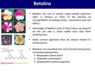 Plant Pigments | PPT